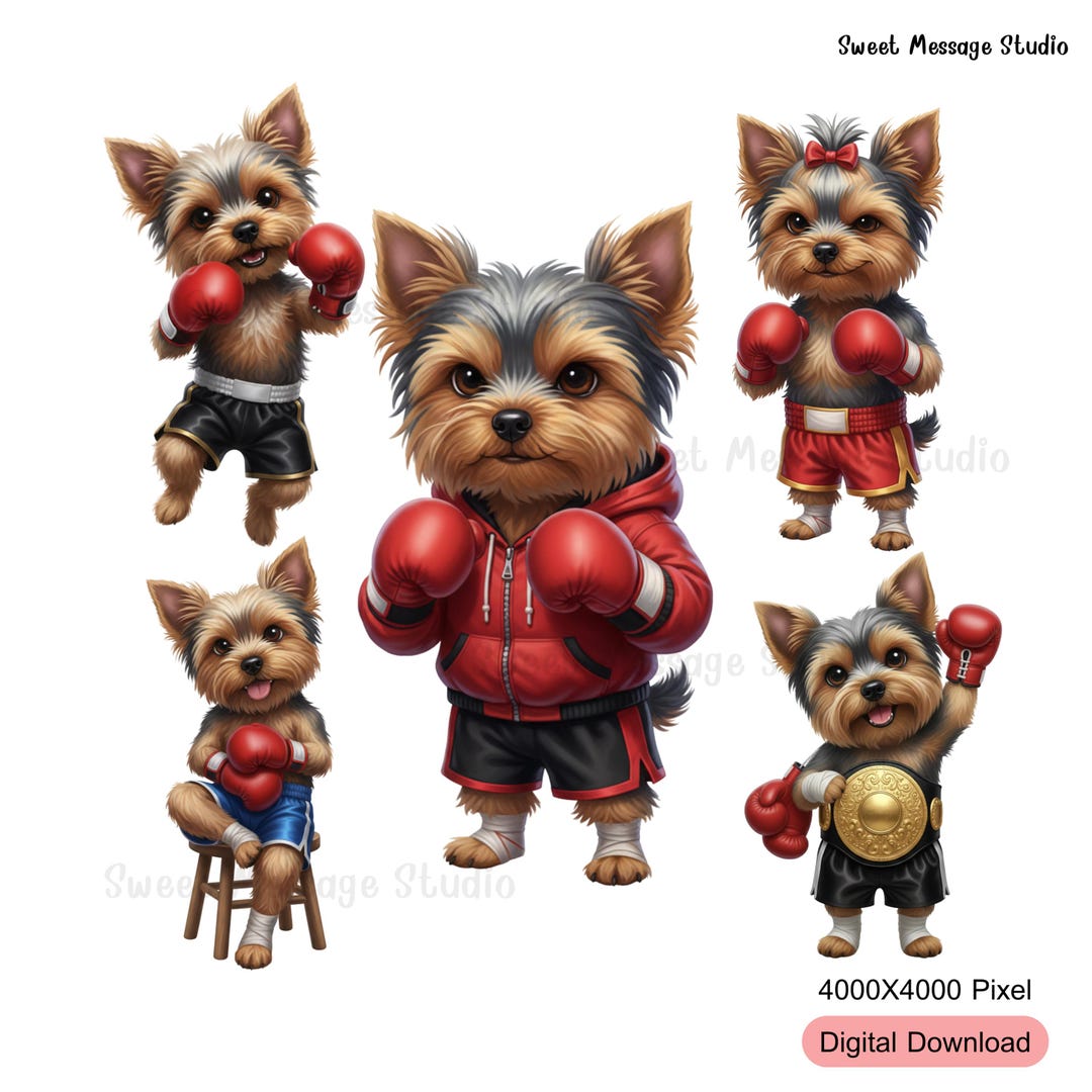 Boxing Yorkie Dog PNG Bundle | Boxer Puppy Clipart for Sublimation & T ...