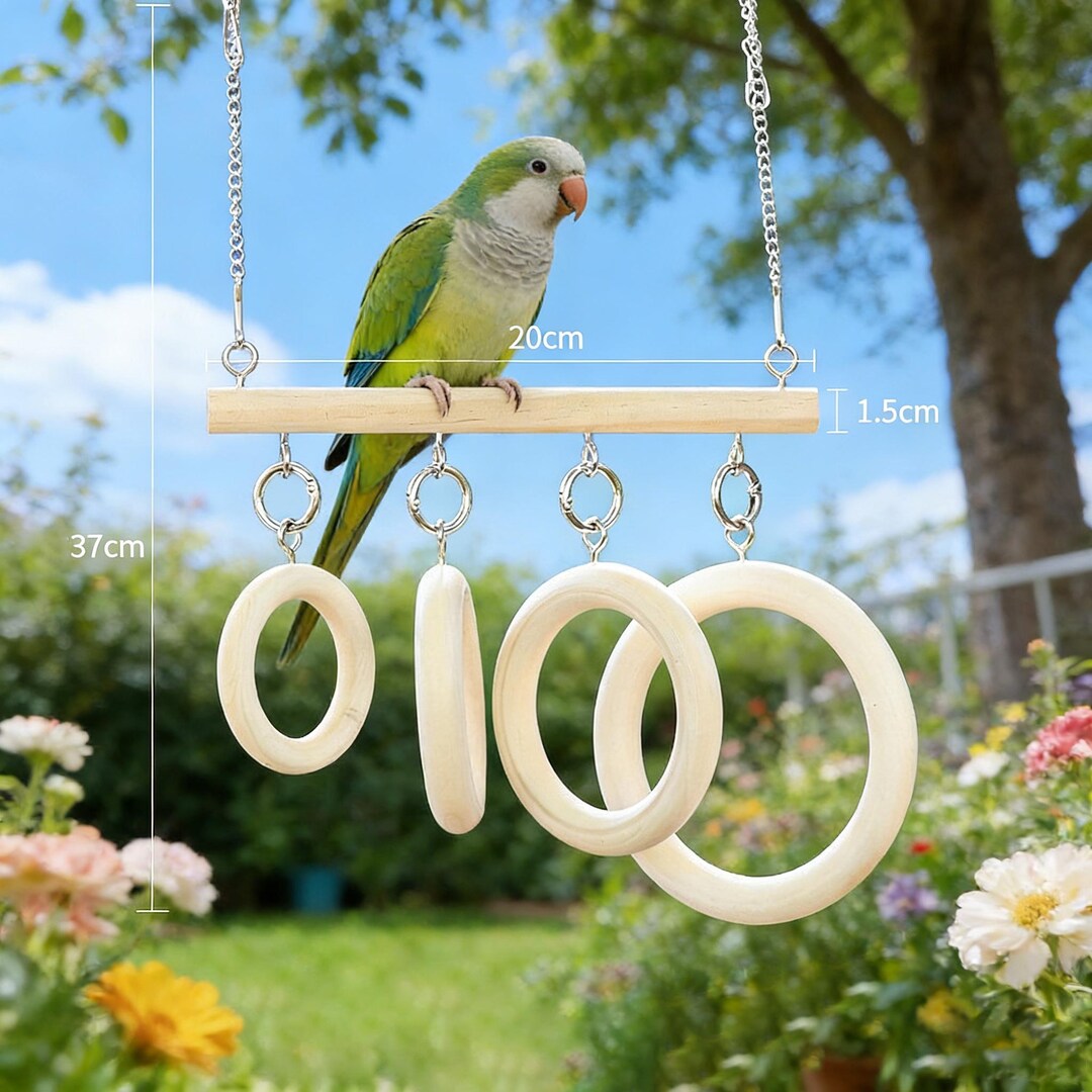 Natural Wood Ring Swing: Multi-level Climbing Perch for Cockatiel ...