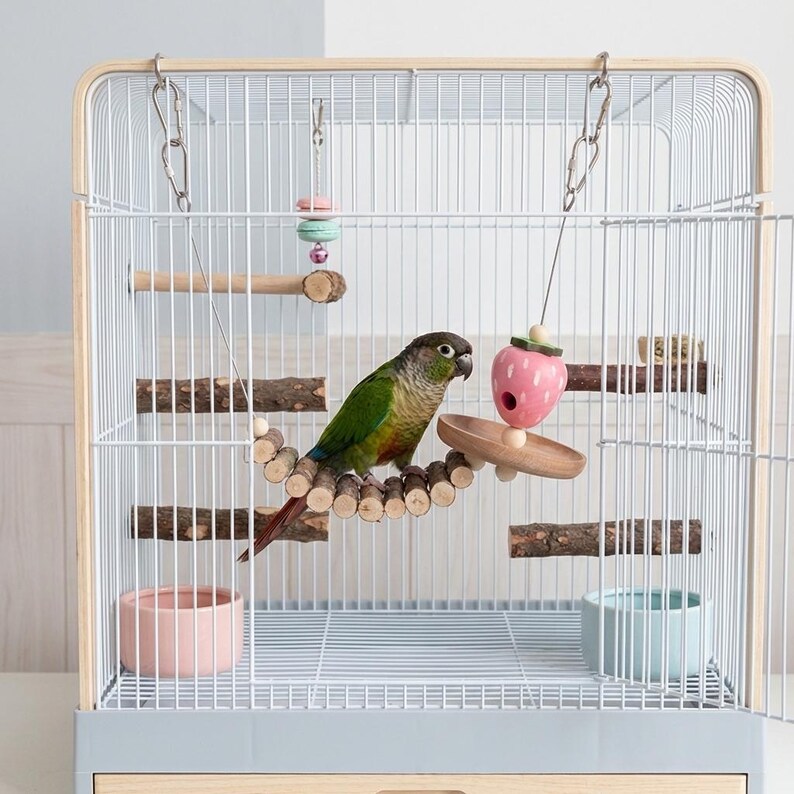 Ork Bird Toy Strawberry Foraging Toy, Treat Dispenser, Bird Enrichment ...