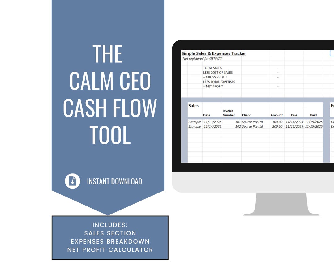 The Calm CEO Cash Flow Tool (excel Template) - Etsy