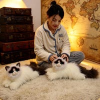 CUSTOM KITTEN Plush Toy, 3D Realistic Cat Plushie, Stuffed Cat, Plush ...