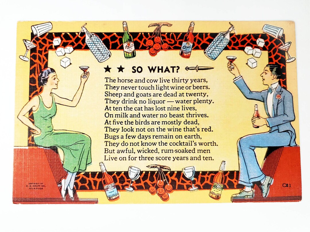 New Years Eve Toast Humorous Postcard so What? E.C. Kropp Poem About ...