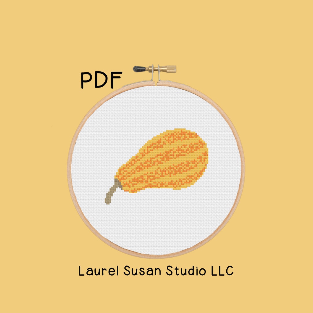 Gourd Cross Stitch Pattern, PDF Digital, Easy Beginner Autumn Fall - Etsy