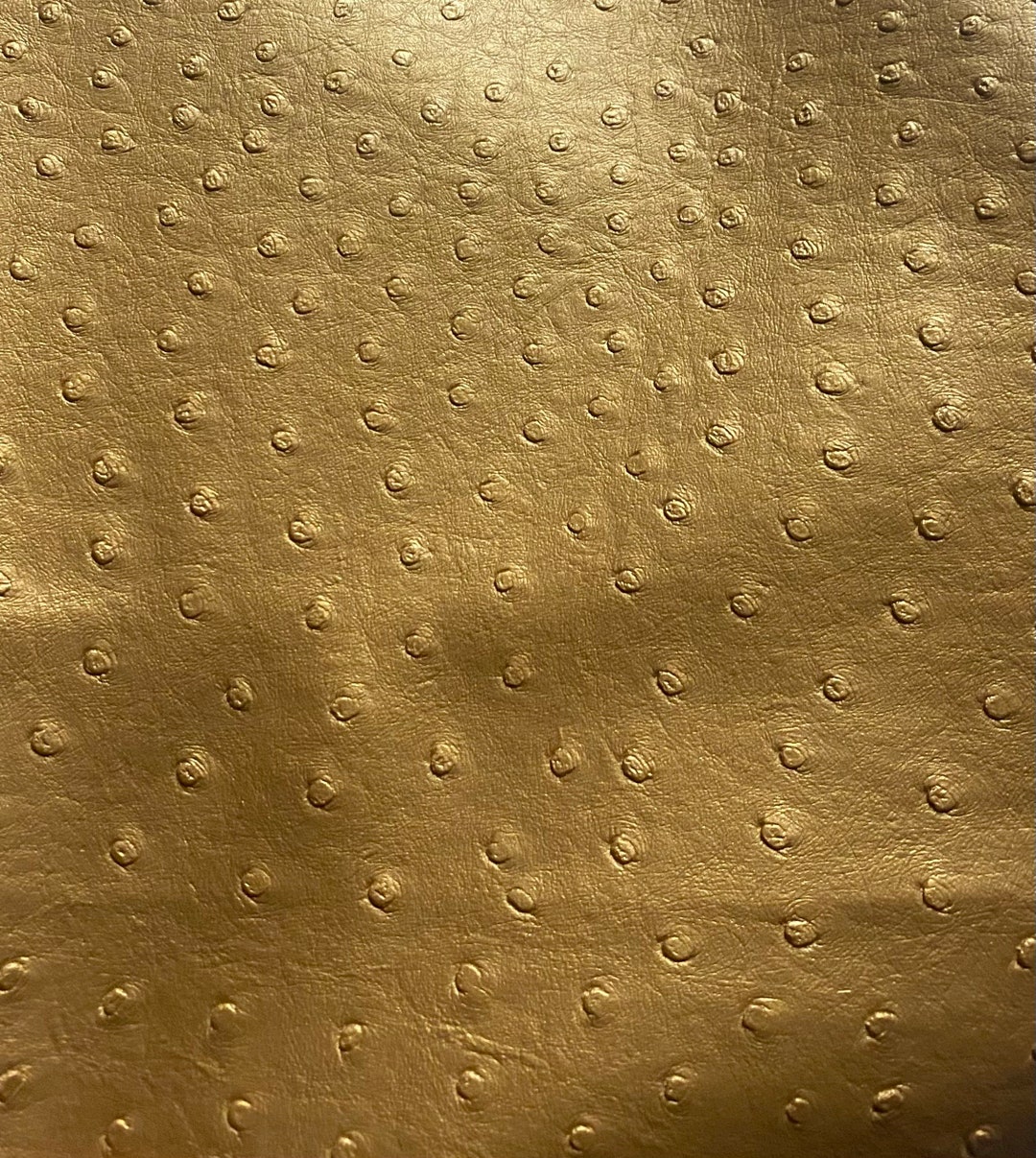 Gold Ostrich Faux Vinyl Marine Grade UV Resistance Waterproof Fabric - Etsy