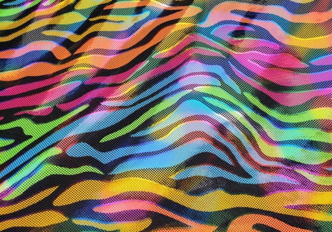 Zebra Multi Color Dance Swimsuits 4 Way Stretch 58 Wide - Etsy
