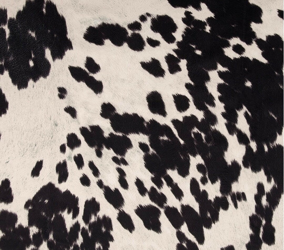 Black Velvet Faux Suede Cow Print Upholstery Drapery Fashion Home Decor ...