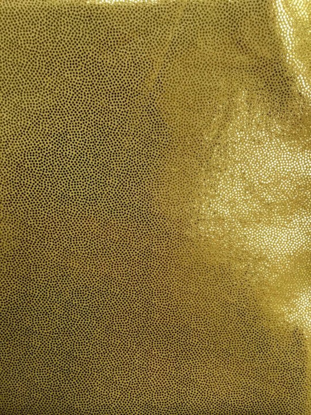 4-way Stretch Gold Mystique Spandex Fabric by the Yard 60 " Wide - Etsy