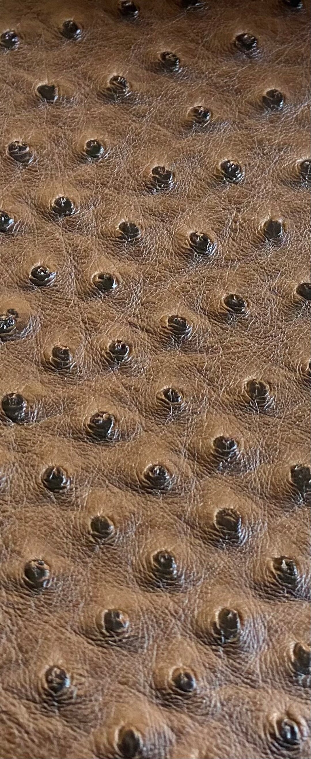 Ostrich /faux Vinyl Marine Grade/ UV Resistance Waterproof Fabric-brown ...