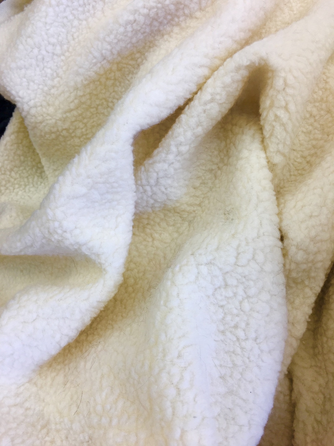 Ivory Cuddle Soft Sherpa Fleece Fabric Sold by the Yard - Etsy