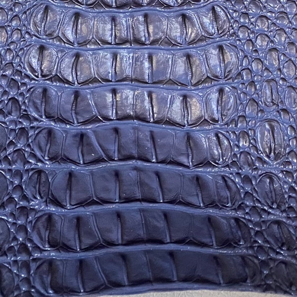 Alligator Embossed - Etsy