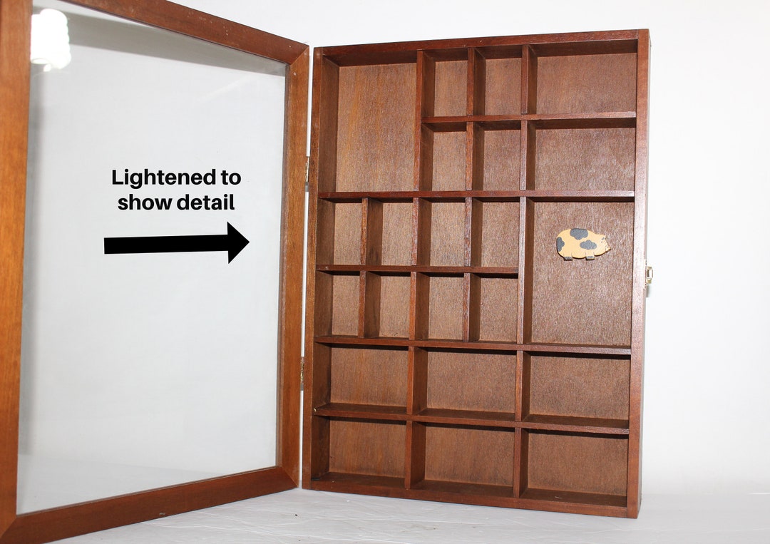 Vintage Enclosed Shadow Box/wall Display Case With 22 Cubbies & Glass ...