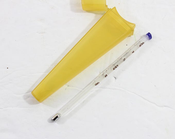 Old Fashioned Glass Fever Thermometer With Plastic Case, TESTED ...