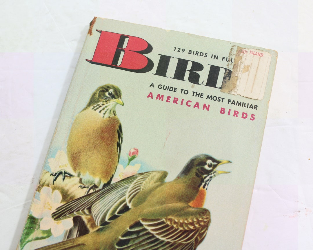Vintage Birds ID Book Golden Nature Guide to the Most Familiar American ...