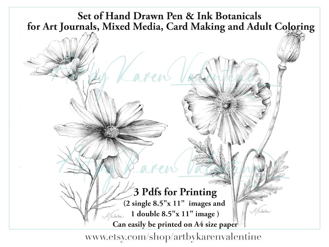 Hand Drawn, Ink Drawing of Poppy and Cosmos Flower for Adult Coloring ...