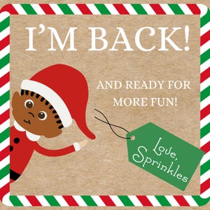 Hand-painted Christmas Elf Banner | Christmas Home Decor 3x3ft - Etsy