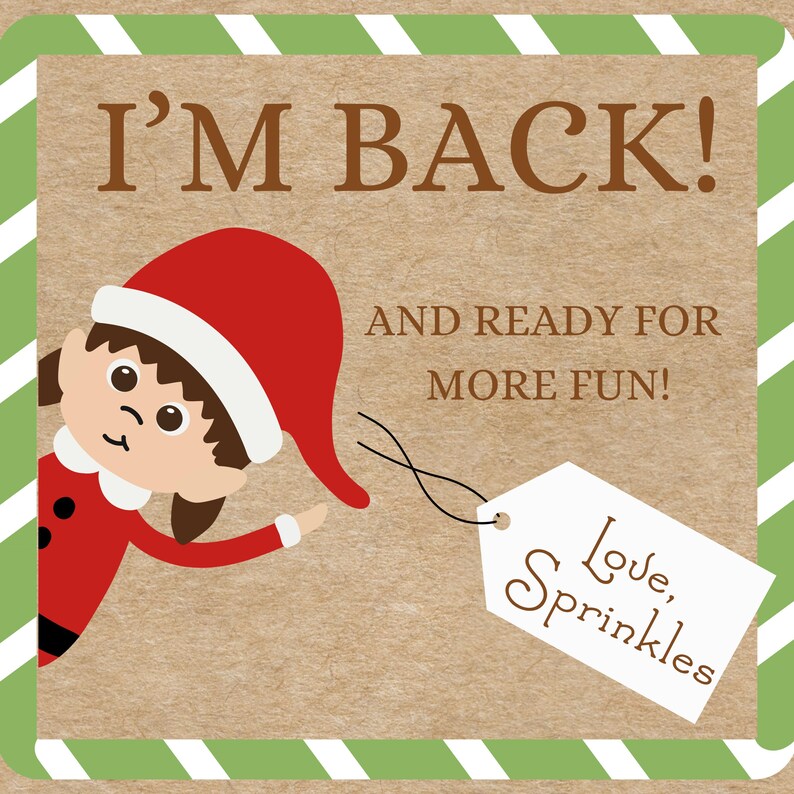 Hand-painted Christmas Elf Banner | Christmas Home Decor 3x3ft - Etsy