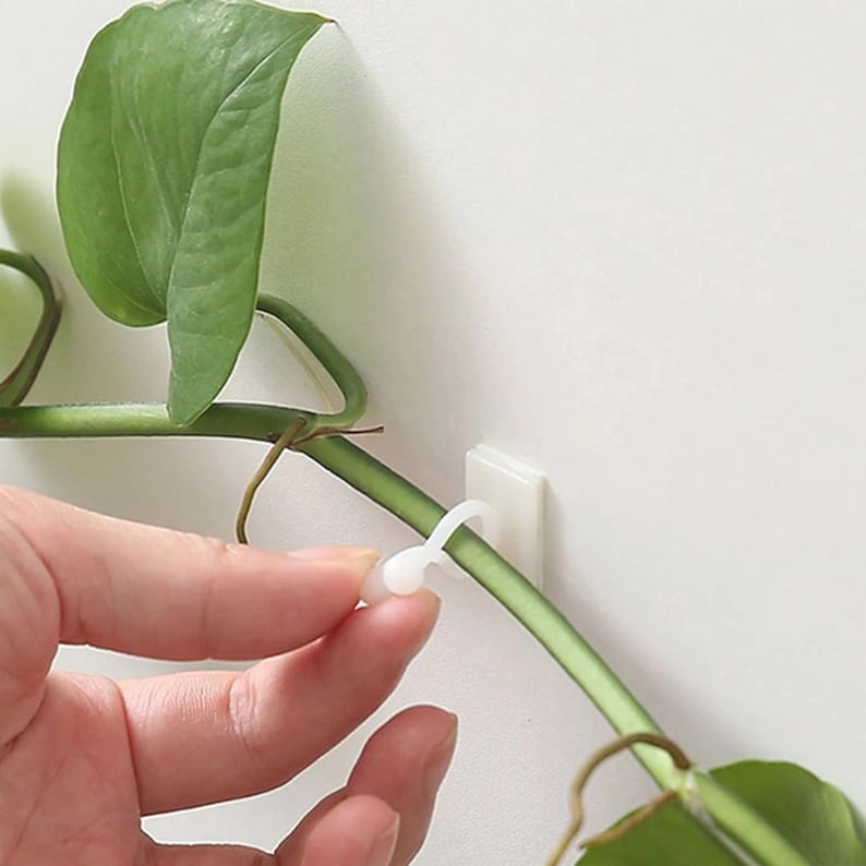 10pcs Green Plant Vine Fixer - Invisible Climbing Wall Hooks for Indoor ...