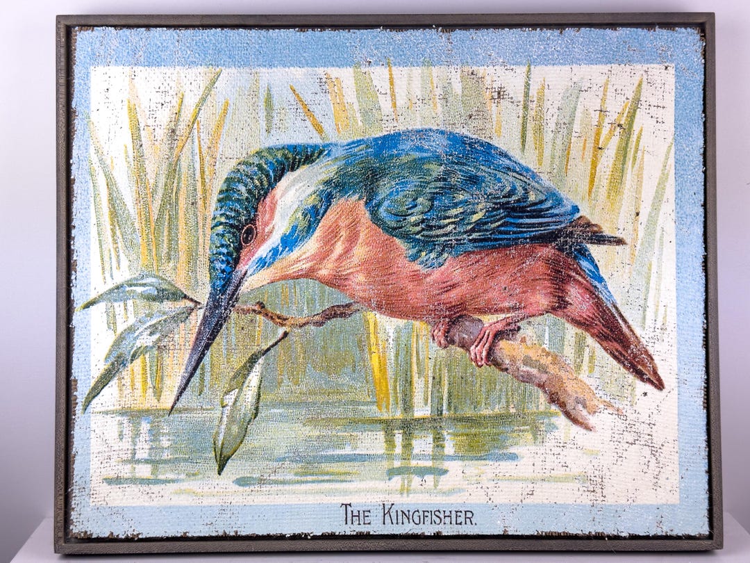 Hand-crafted Textured Kingfisher Wall Decor | Luxury Vintage Colorful ...
