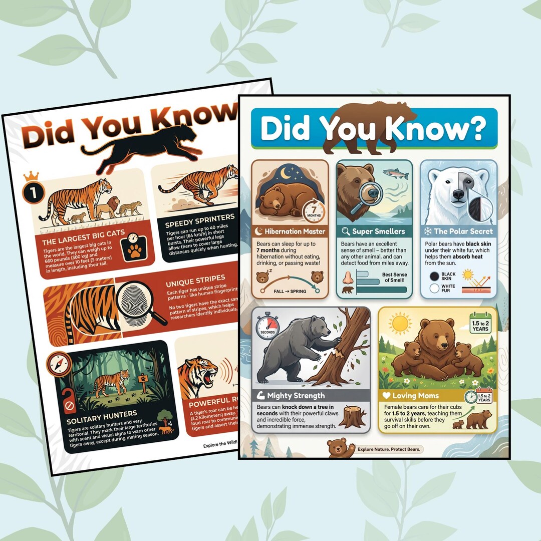 Animal Fact Posters – Educational Wildlife Learning Prints Featuring ...