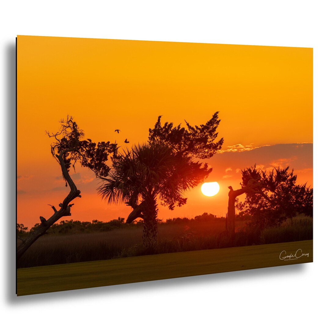 St Simons Island Sunset Photo Marsh Birds Coastal Landscape Wall Art ...