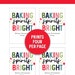Baking Spirits Bright | Christmas Printable Tag | Neighbor, Friend ...