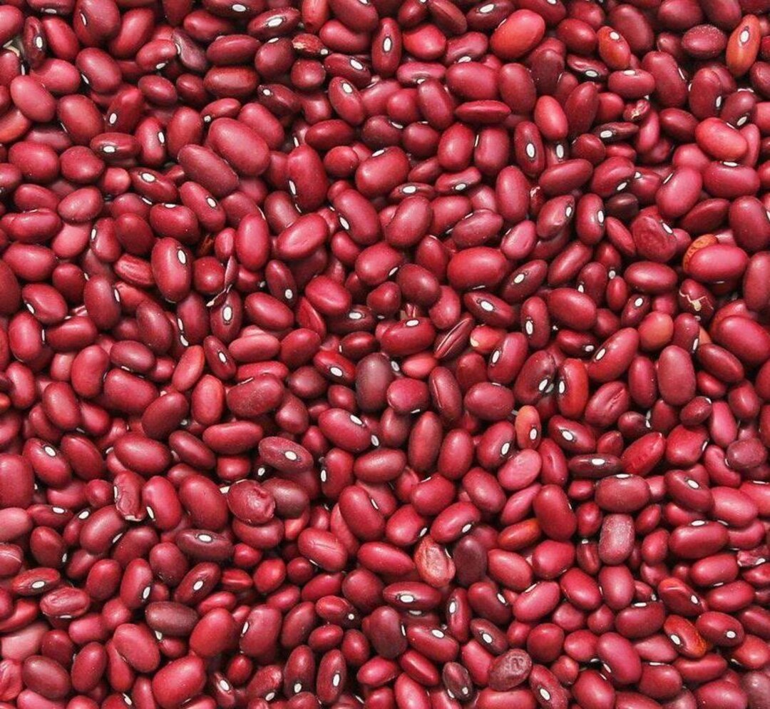Generic 1/4# Small Red Bean Seeds - Etsy