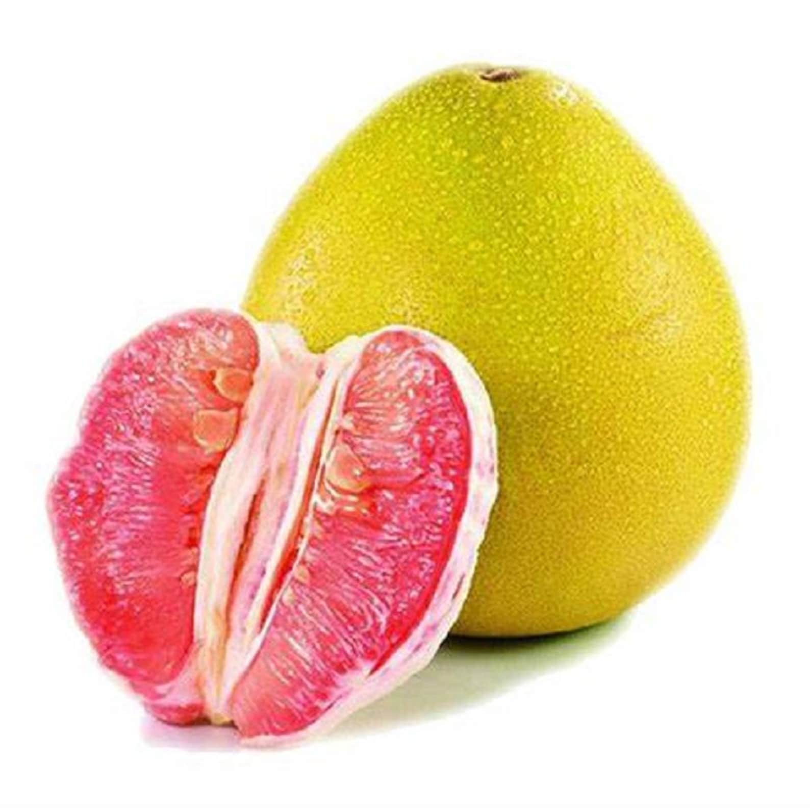 4 Red Pomelo Seeds - Etsy