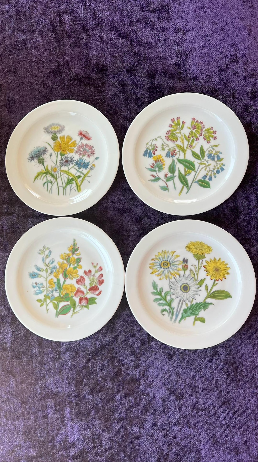Vohenstrauss German Luncheon Plate Set---4 Floral 7.5-inch Salad Plates ...