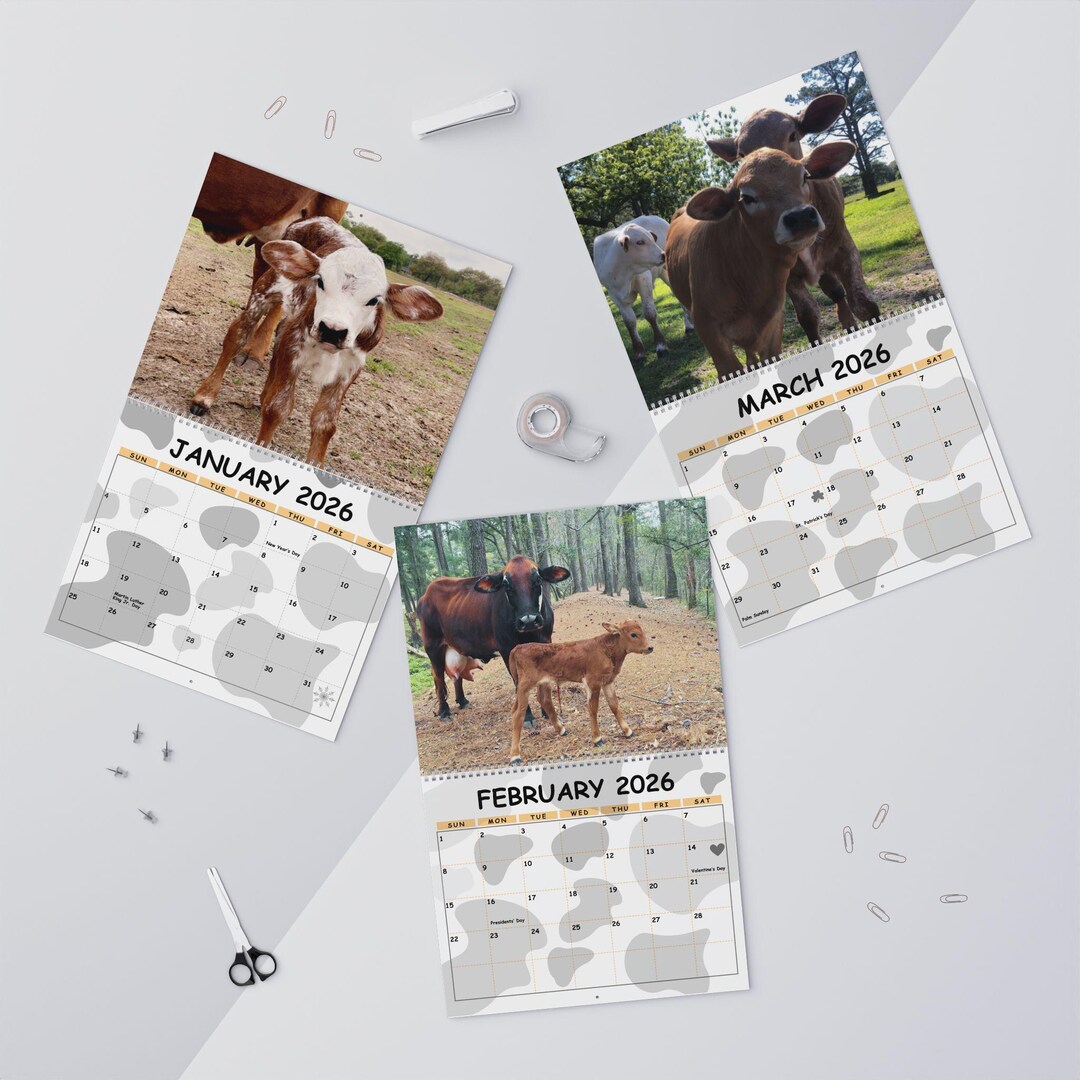 Cow Calendar, 2026 Rustic Farmhouse Monthly Planner, Nature Lover Gift ...