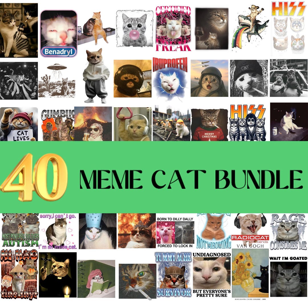 Unhinged Meme Cat PNG Bundle, 40 Viral Funny Cats, Cursed Internet ...