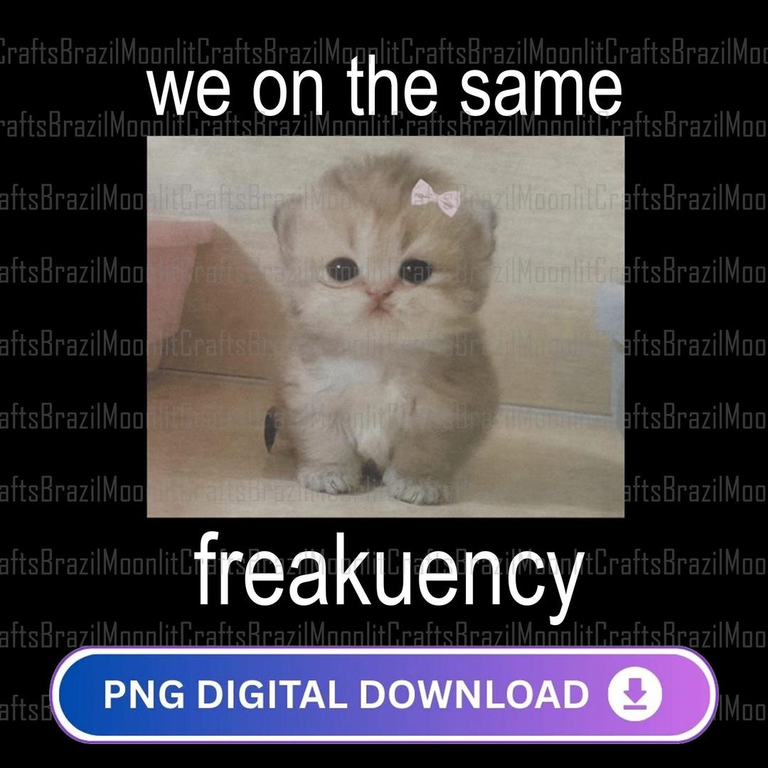 We on the Same Freakuency, Cat Meme Png, Goofy Ahh Brainrot Weird Png ...