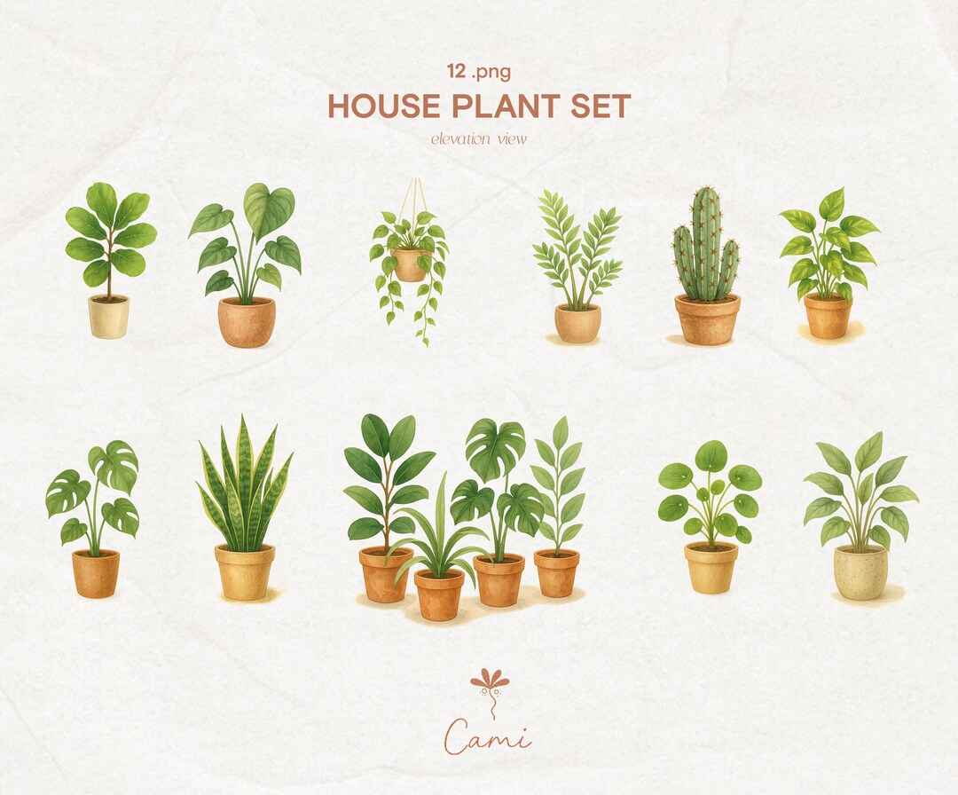 House Plant Set Cutouts – PNG – Digital Download, for Architecture and ...