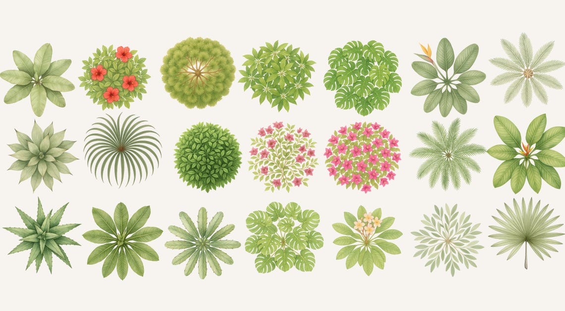 Top View Tree Set Cutouts – PNG – Digital Download, for Architecture ...