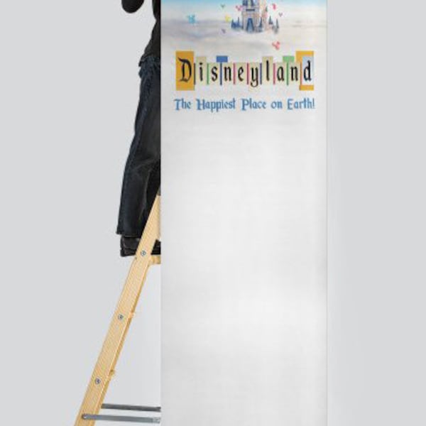 Disneyland Party Decorations - Etsy