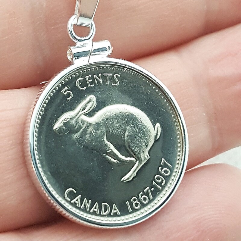 Canadian Rabbit Coin - Etsy