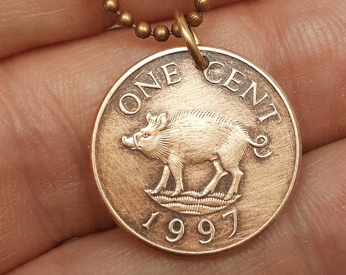 Little PIG COIN Necklace. Piglet Charm. Year of the Pig. Bermuda Coin ...