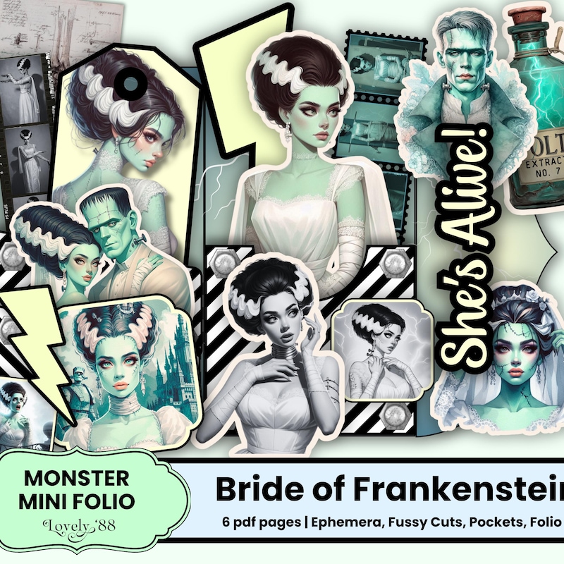 Bride of Frankenstein Journal - Etsy