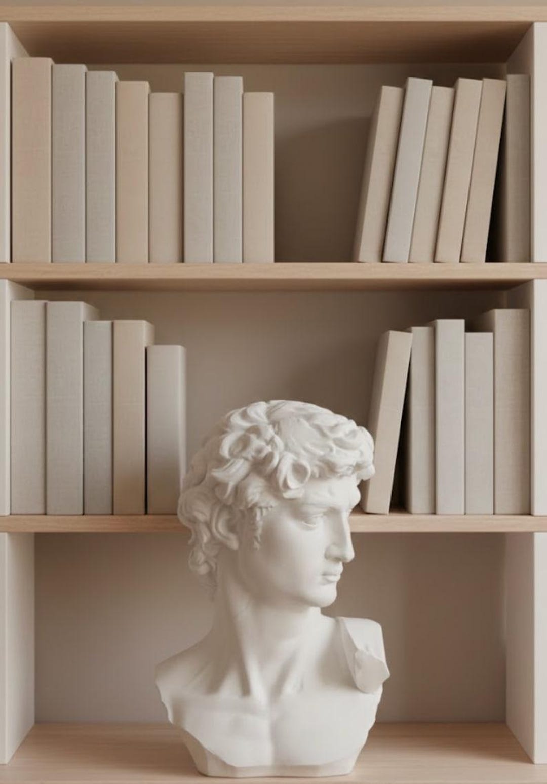 David Book Nook – 3D Printed Michelangelo Statue Insert, Unique ...