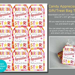 Teacher Appreciation Week Bursting With Appreciation Tags to Download ...