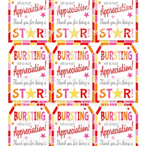 Teacher Appreciation Week Bursting With Appreciation Signs and Tag ...