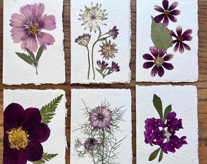 Pressed Flower Cards, Set of 6 With Envelopes - Etsy