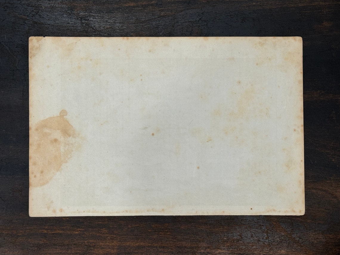 Antique 19th Century Clay Plate Lithograph African Lions C.1865 JF ...