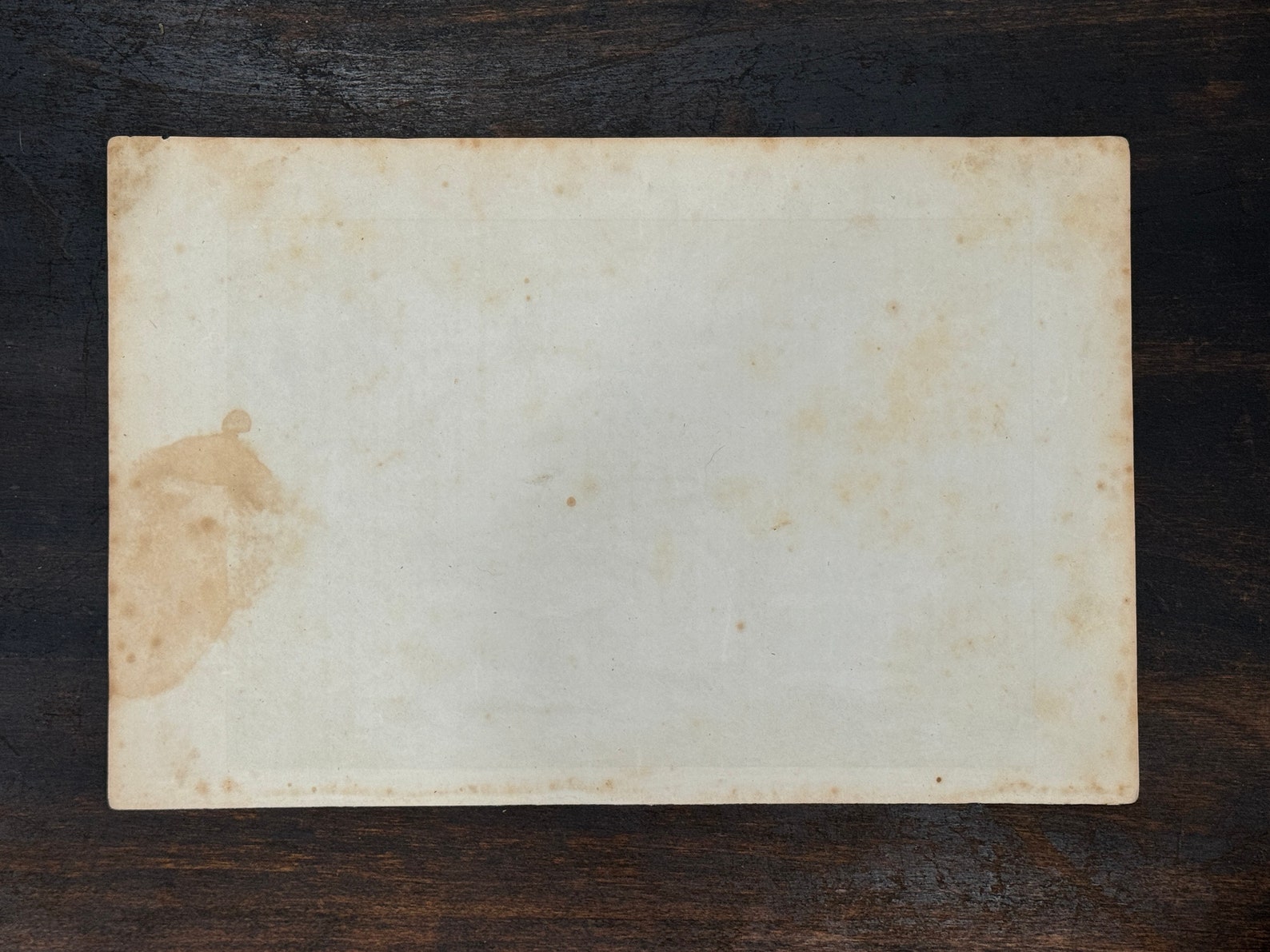 Antique 19th Century Clay Plate Lithograph African Lions C.1865 JF ...