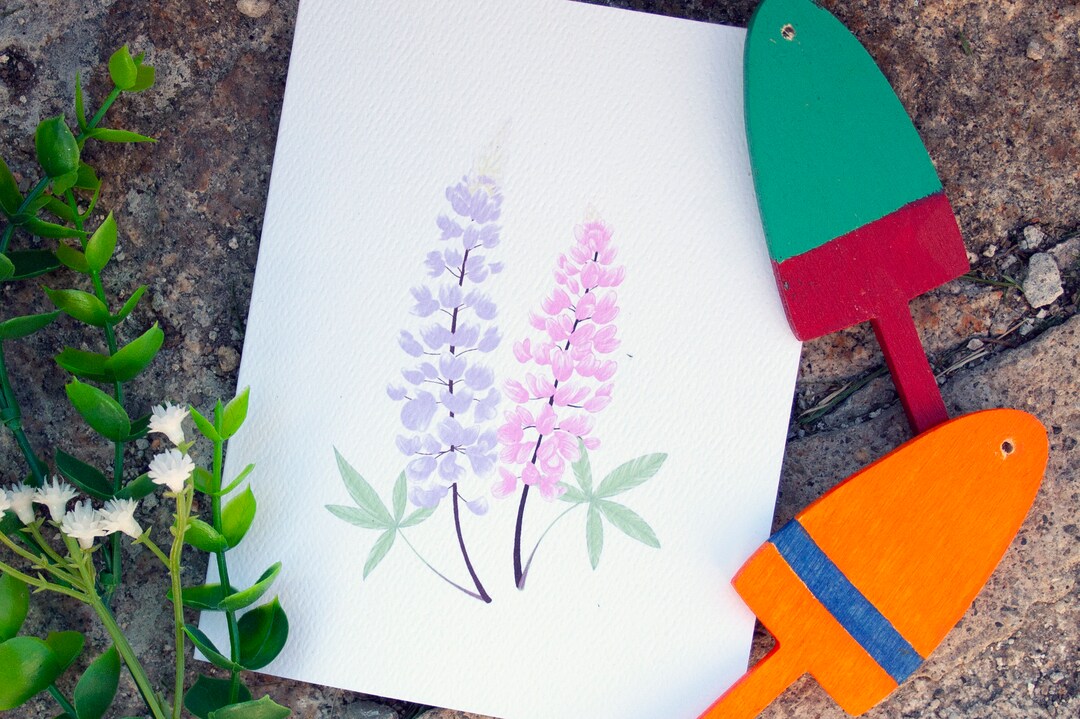 Miss Rumphius Inspired Maine Lupine Greeting Card - Etsy