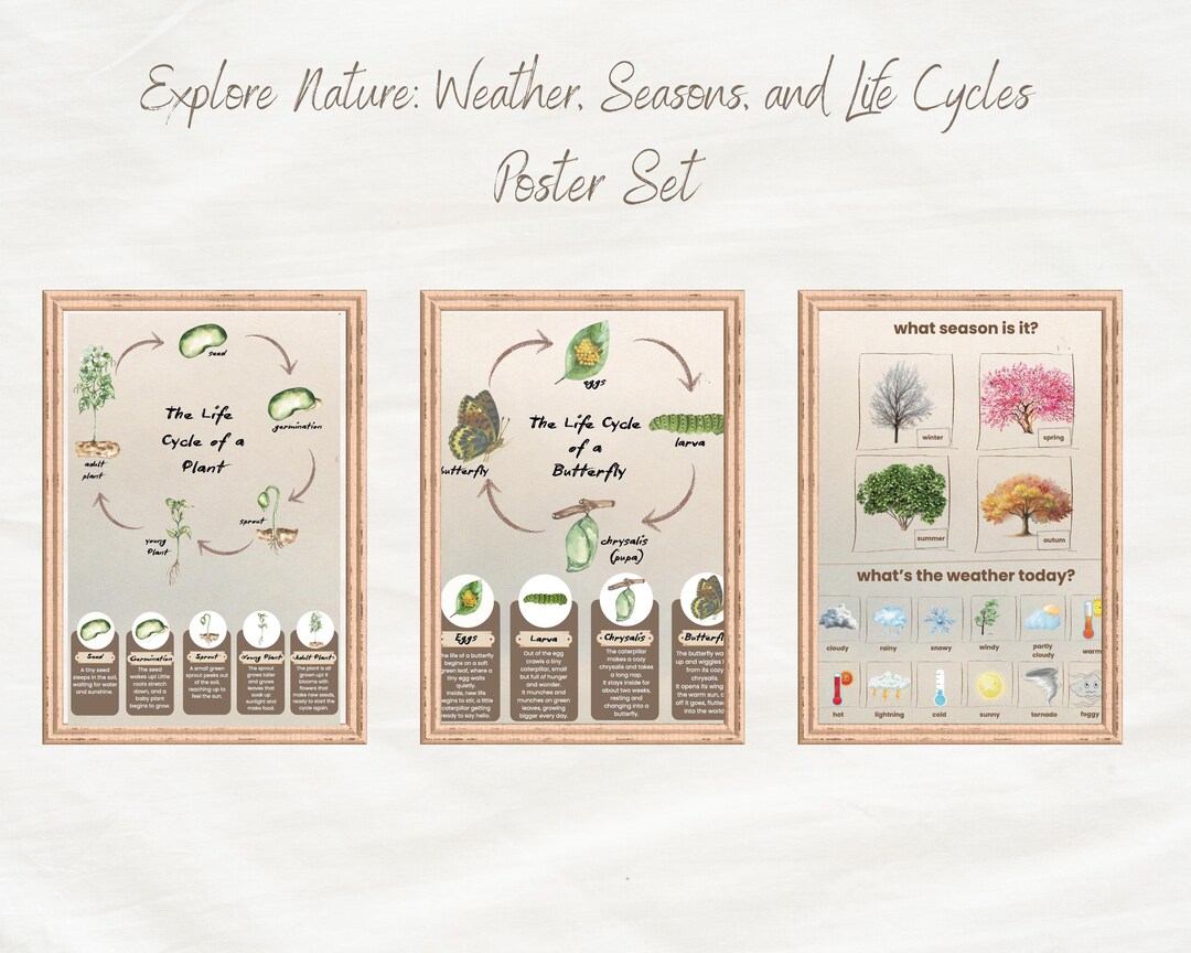 Nature Learning Poster Bundle: Seasons & Weather, Butterfly Life Cycle ...