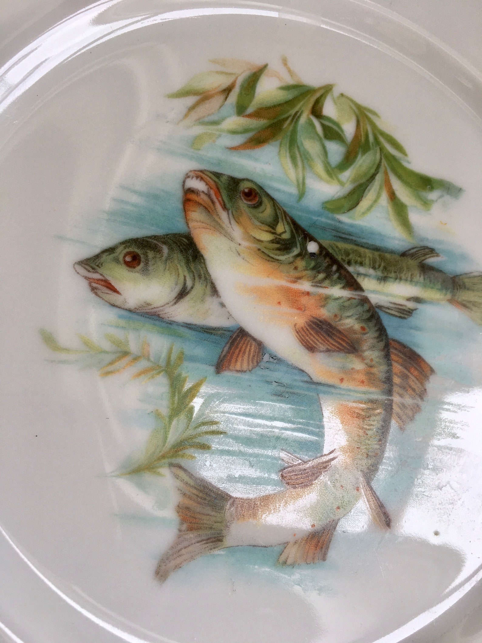 Antique 1900 Gold Gilt China Fish Plate Austria Hand | Etsy