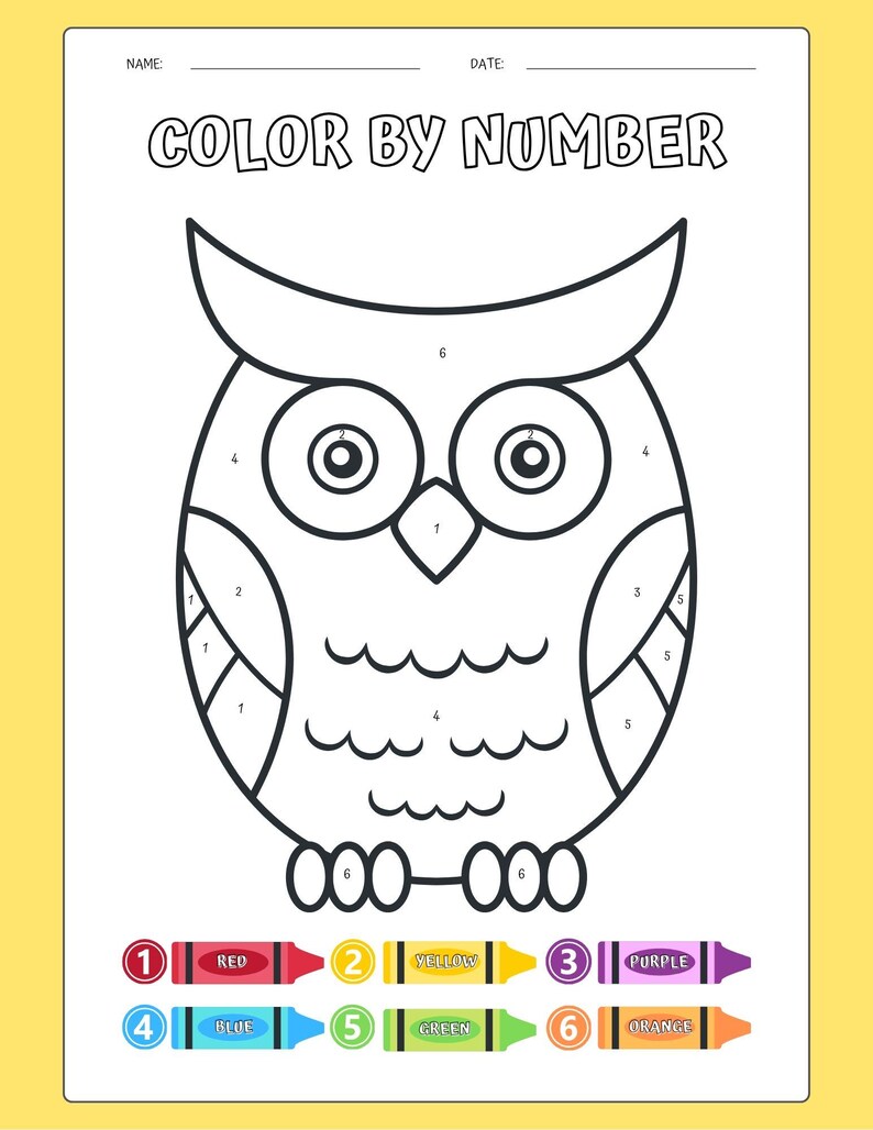 Owl Color by Number Activity Page - Etsy