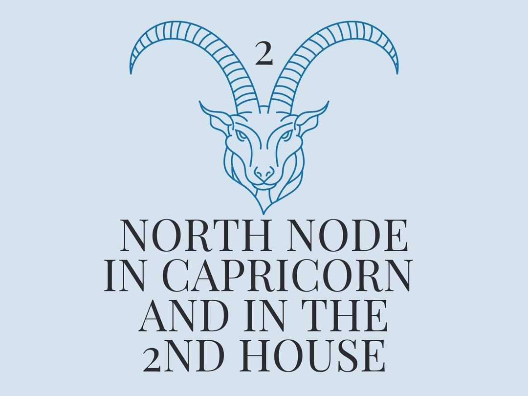North Node in Capricorn in the 2nd House Guide - Etsy