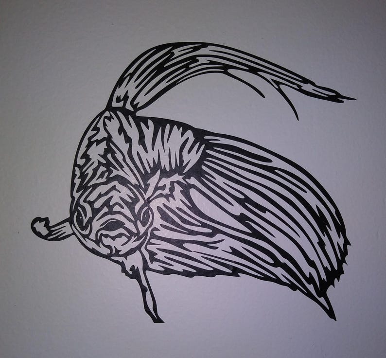 Betta Fish 2 Detailed File ~ Vector for Cricut and Laser ~ Digital ...