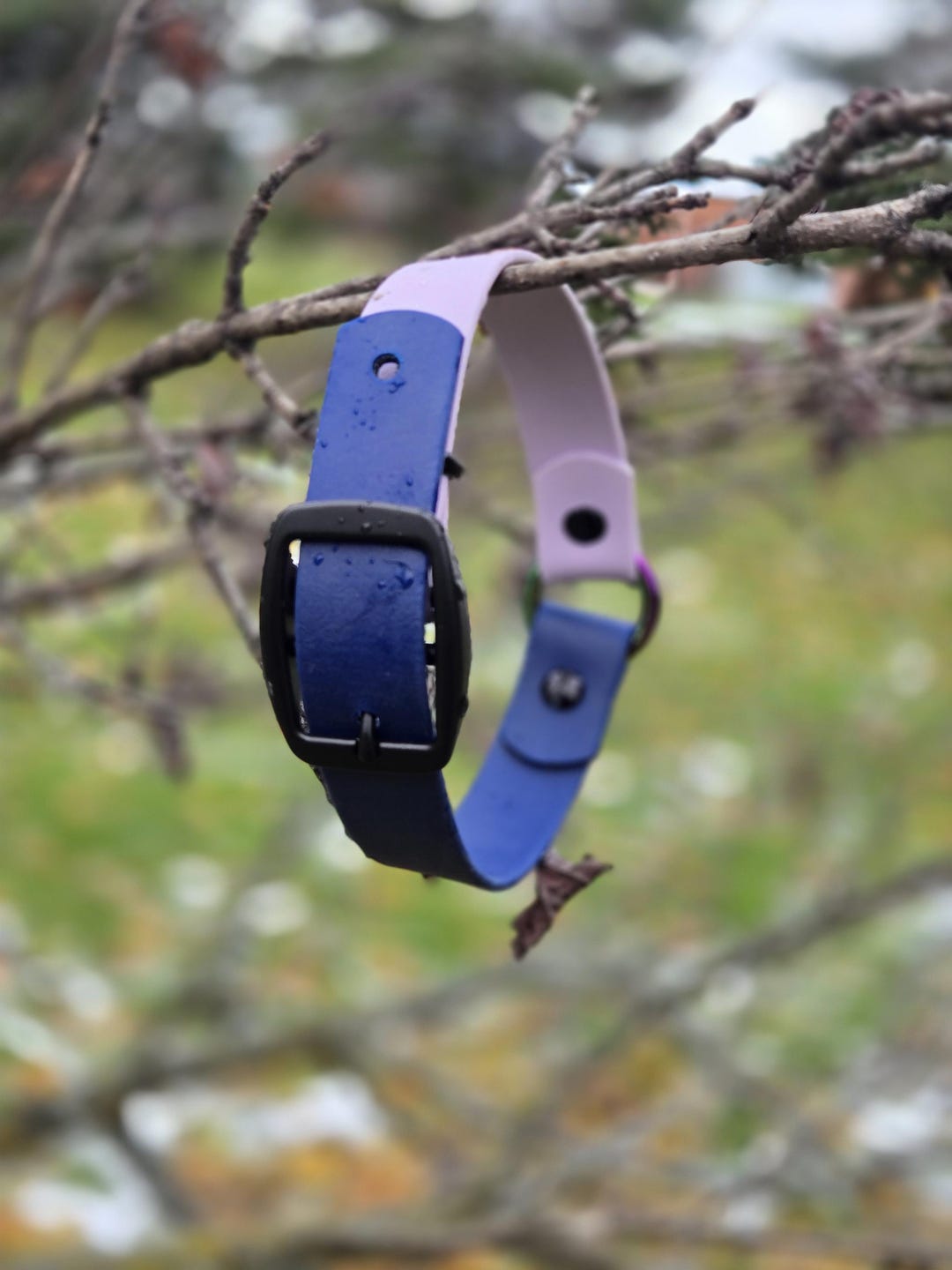Half N Half Two Tone Dog Collar - Etsy